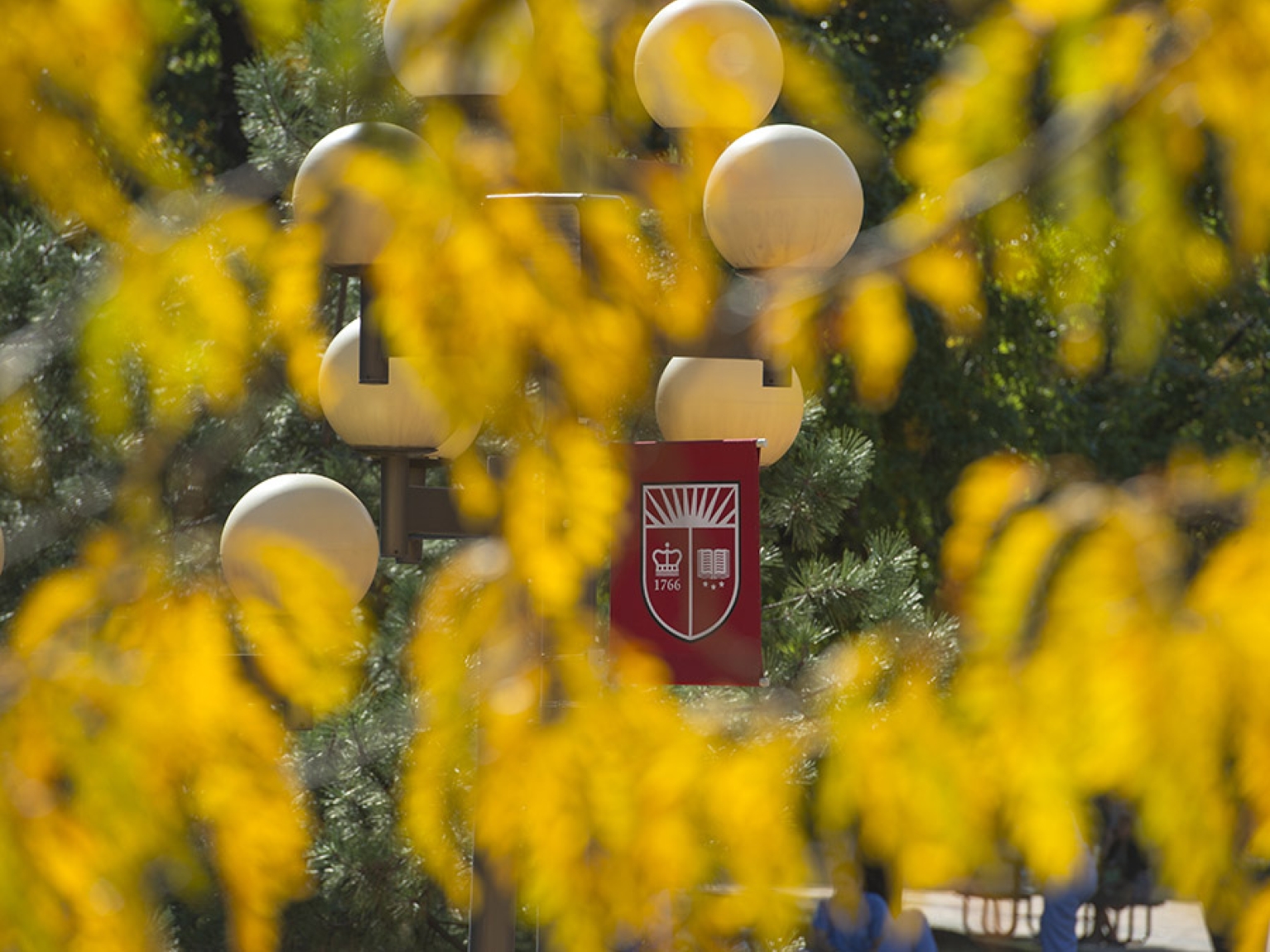 One RBHS: Strategic Planning | Rutgers Health